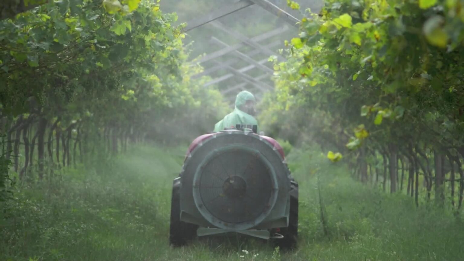 How Can Reducing Pesticide Use Lead to More Sustainable Agriculture? - My Good Planet