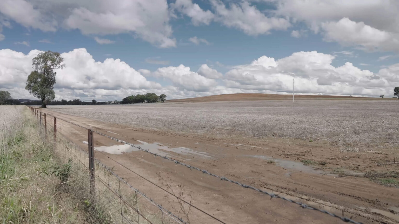 The Top 6 Issues Facing Sustainable Agriculture Today - My Good Planet