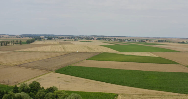 The Top 6 Issues Facing Sustainable Agriculture Today - My Good Planet