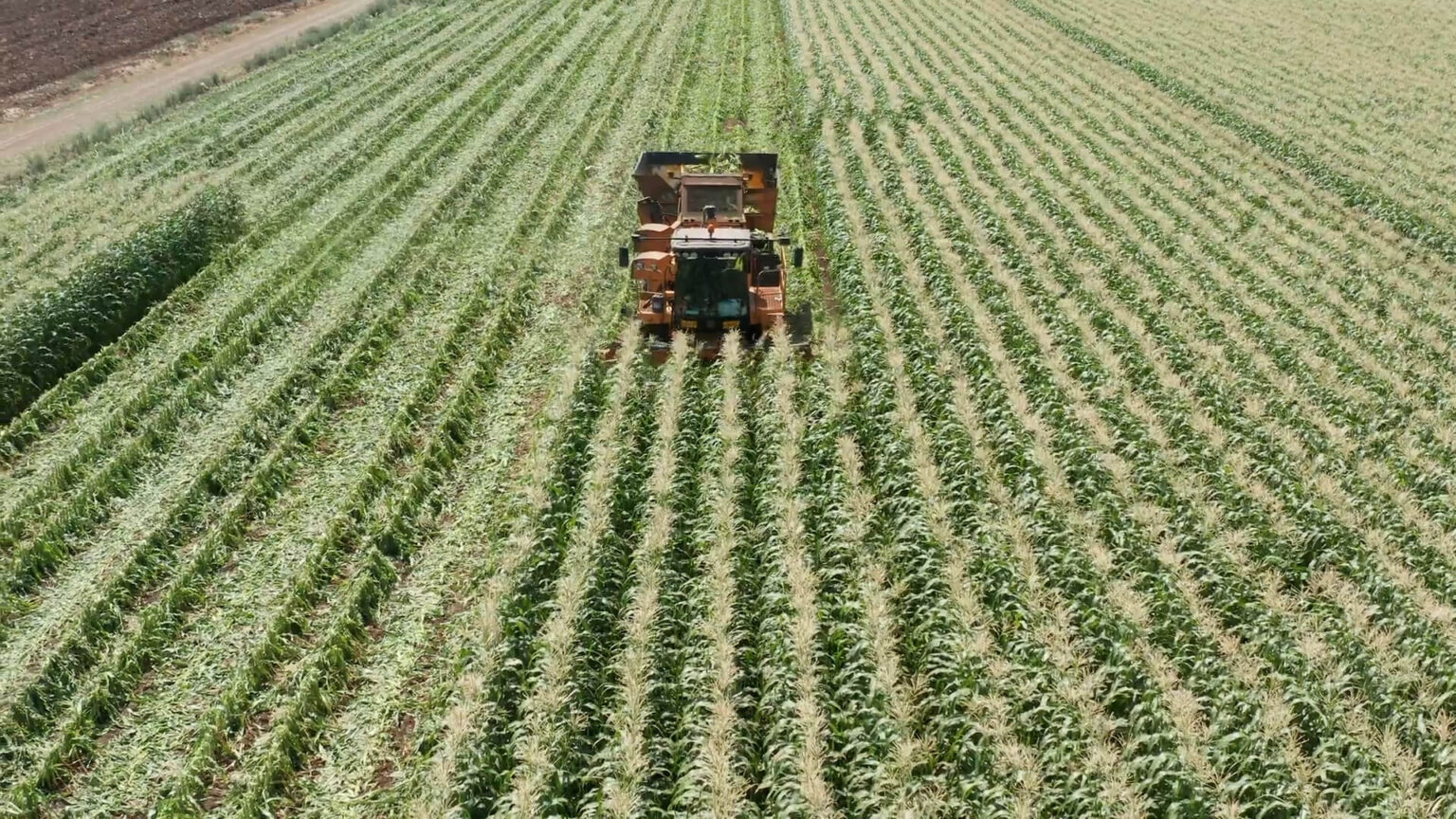 The Top 6 Issues Facing Sustainable Agriculture Today - My Good Planet