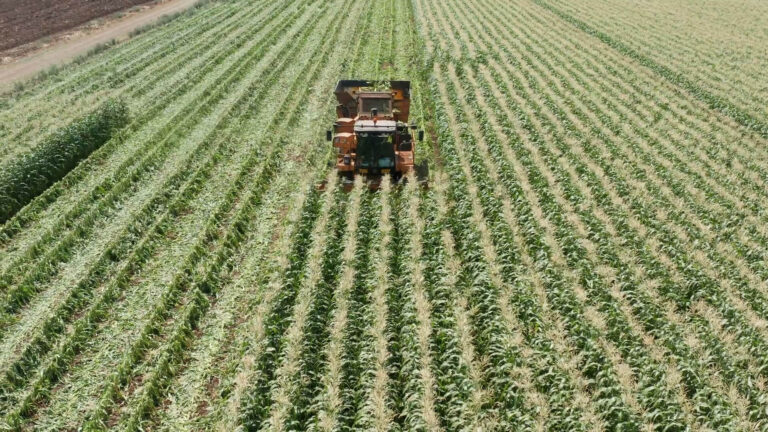 The Top 6 Issues Facing Sustainable Agriculture Today - My Good Planet